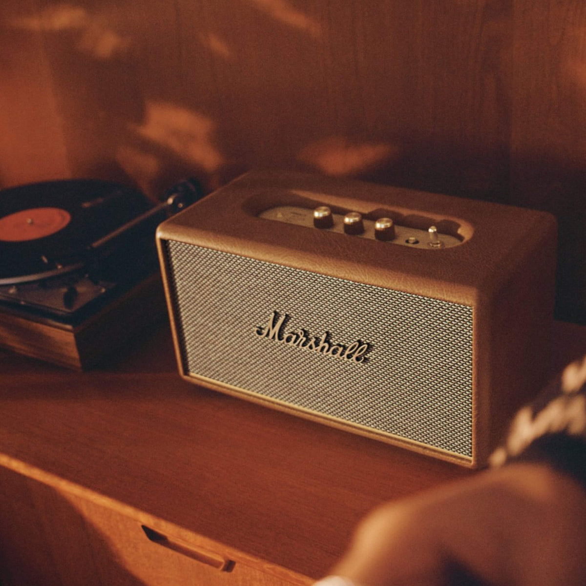 Marshall Stanmore III – TC Acoustic